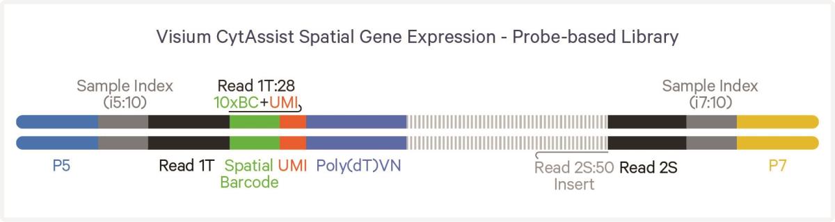 Tulane Pathology Spatial Genomics Center | Tulane School of Medicine